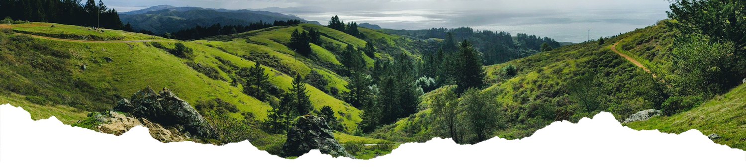 About Us | Custom Souvenirs, Keepsakes, and Apparel – M & W Design